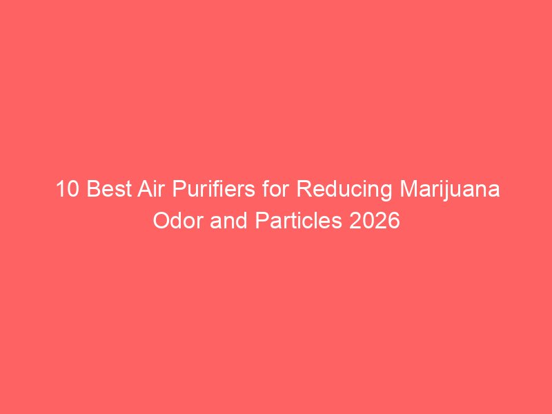 10 Best Air Purifiers for Reducing Marijuana Odor and Particles 2026