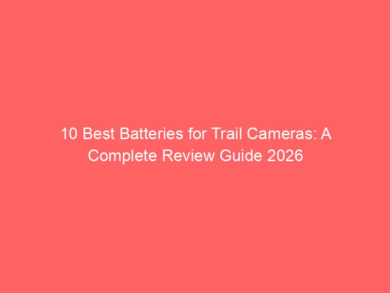 10 Best Batteries for Trail Cameras: A Complete Review Guide 2026