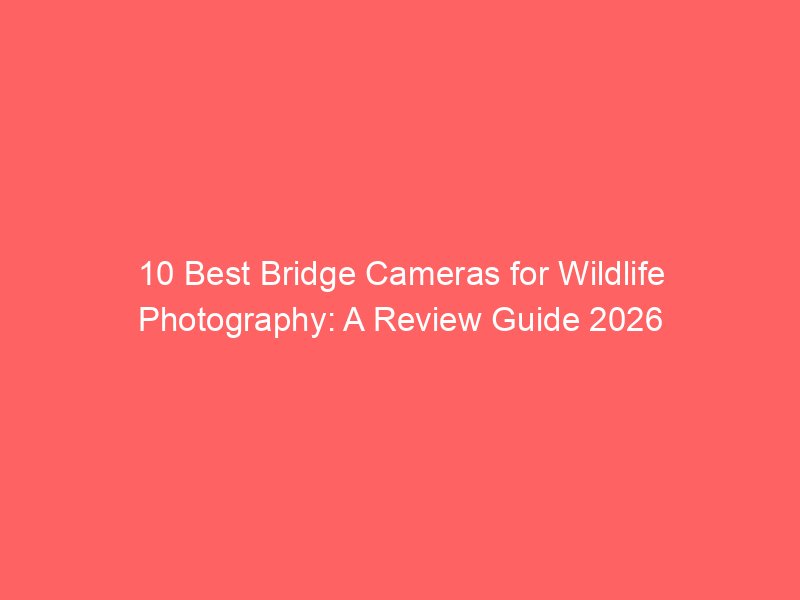 10 Best Bridge Cameras for Wildlife Photography: A Review Guide 2026