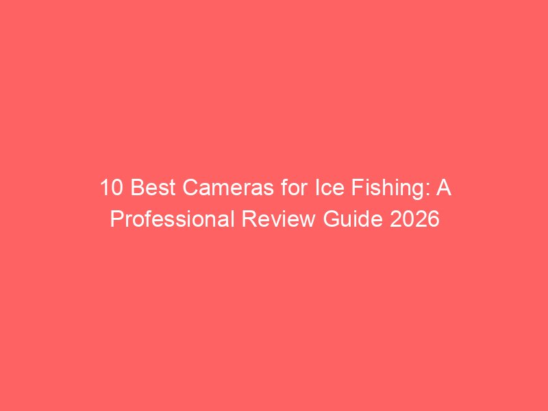 10 Best Cameras for Ice Fishing: A Professional Review Guide 2026