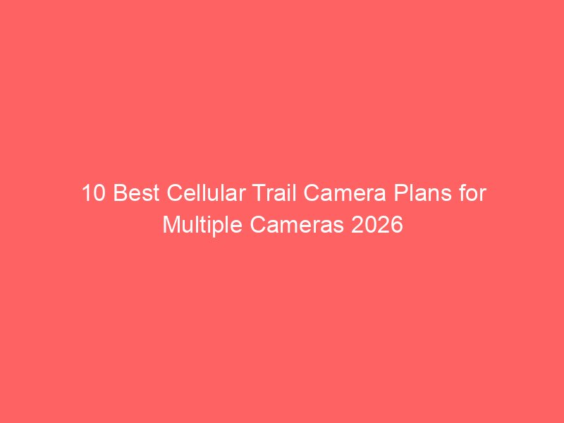 10 Best Cellular Trail Camera Plans for Multiple Cameras 2026