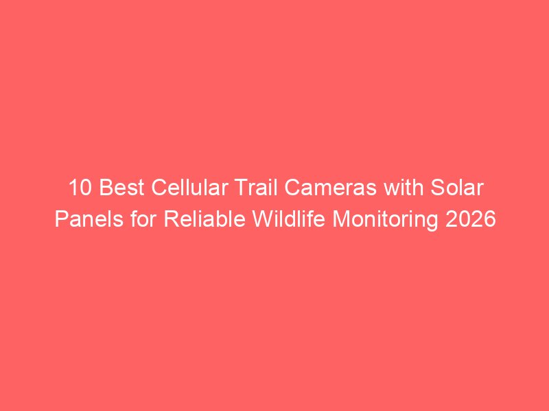 10 Best Cellular Trail Cameras with Solar Panels for Reliable Wildlife ...