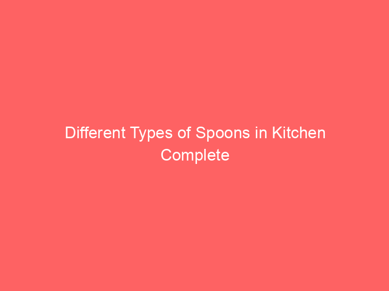 Different Types of Spoons in Kitchen Complete Guide